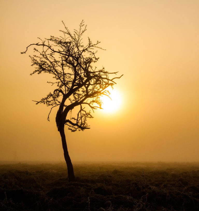 Basic Photography Tips: 20 Tips for beginner photographers - Wayne ...